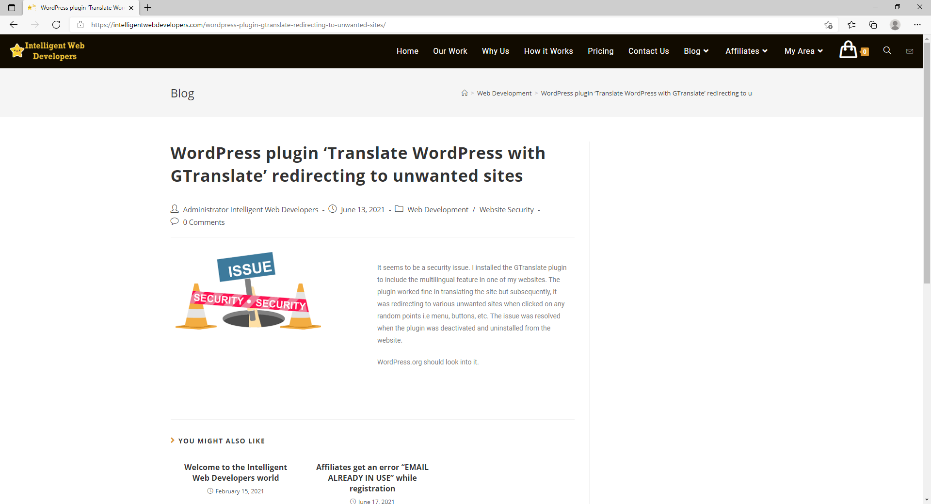 Intelligent Web Developers for your website that works